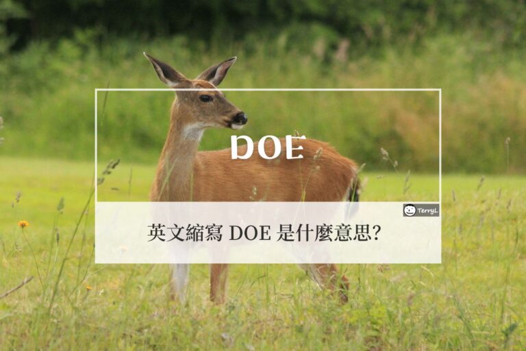 DOE 是什麼？英文縮寫 DOE 的中文意思及例句 - 英文筆記